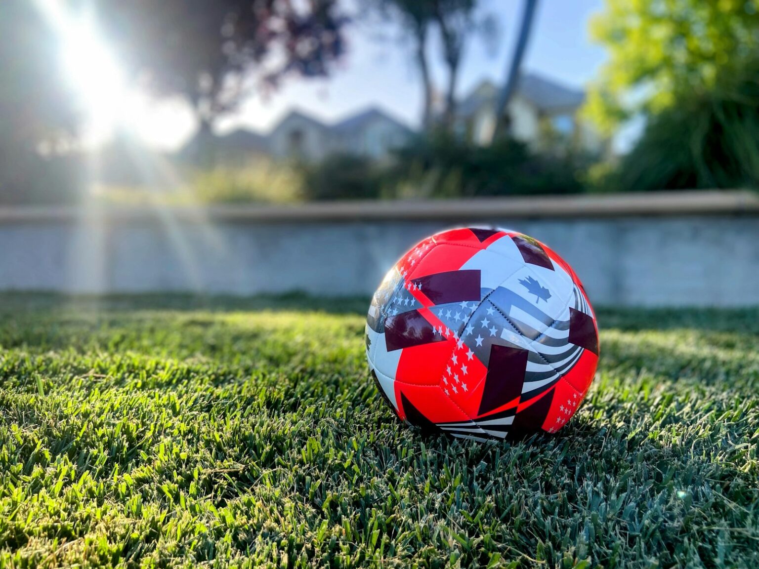 Top 5 Best Canadian Soccer Players (Men) - NCR NOW